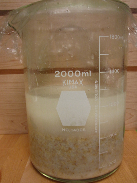 brewing (and chewing) the origins of sake. | BostonSake